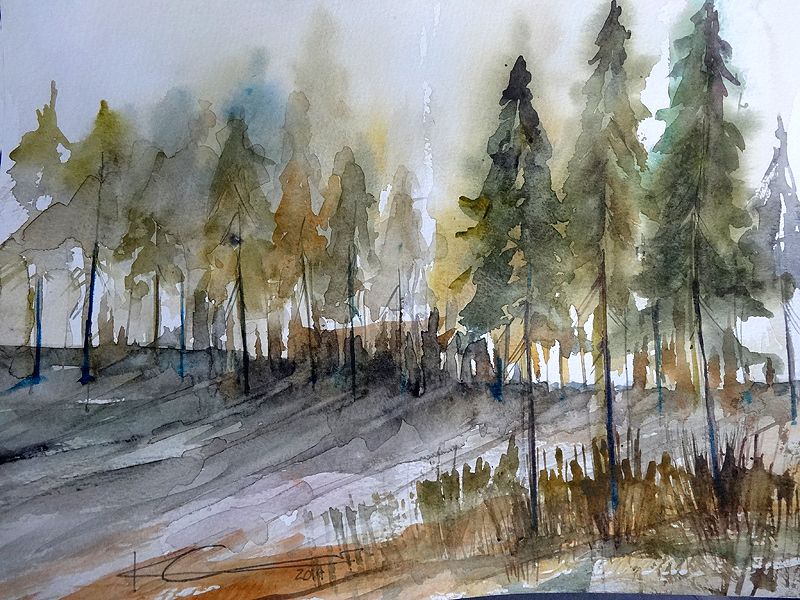 las - obrazy akwarela - PLY - Galeria Sztuki Haloart