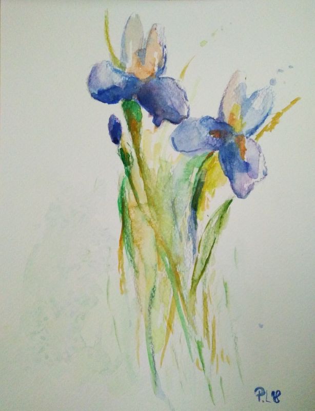 Kwiaty- cztery akwarele - obrazy akwarela - Paulina Lebida - Galeria ...