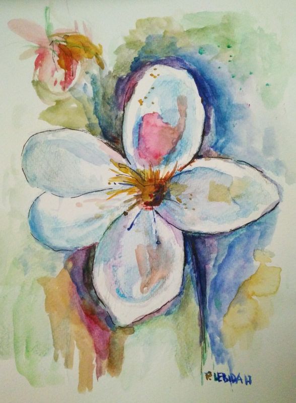Kwiaty- cztery akwarele - obrazy akwarela - Paulina Lebida - Galeria ...